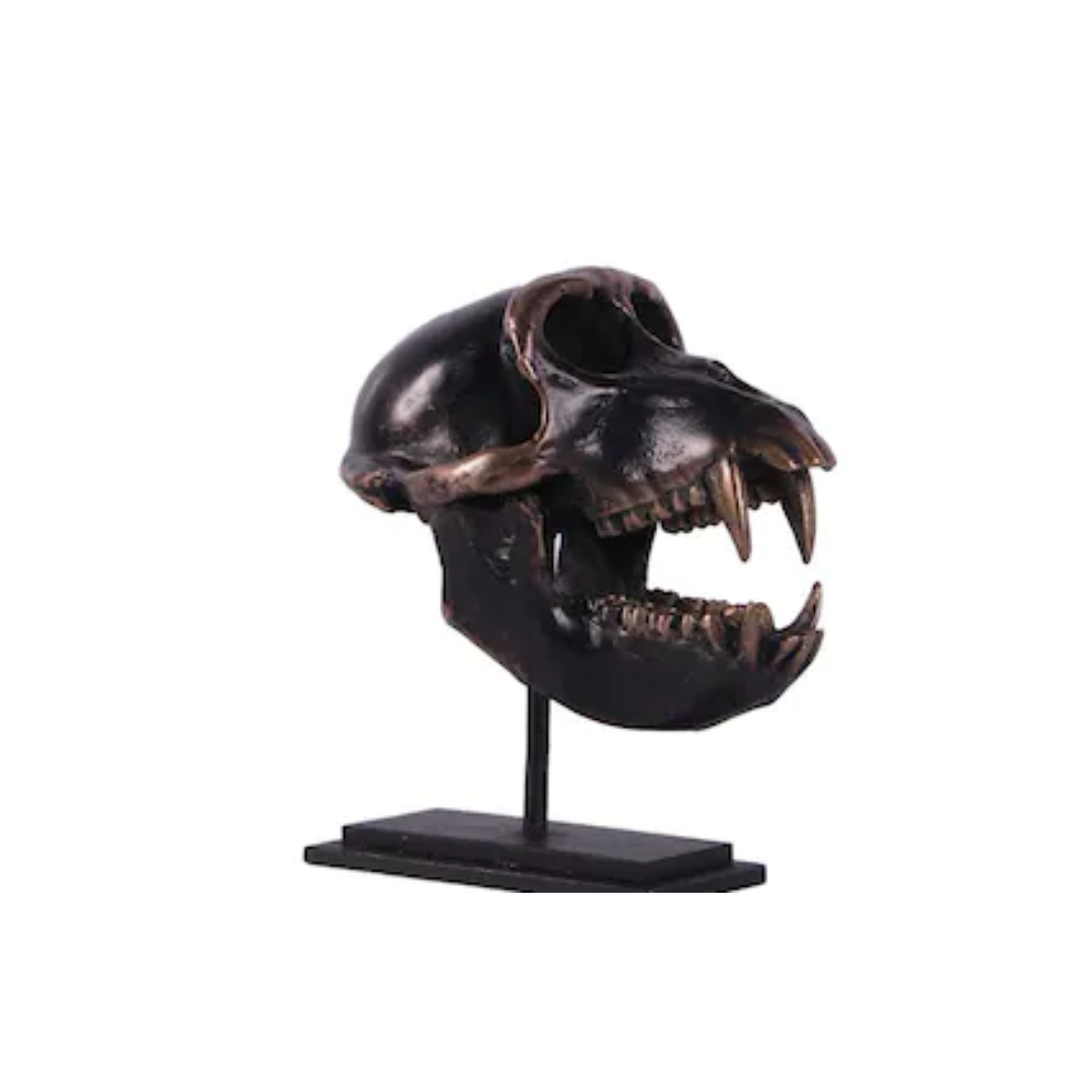 Macaque Skull | Macaque Replica Skull | Butterfly Creek – Butterfly ...